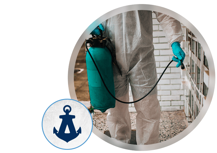 Merrimack’s Trusted Pest Control Experts - Anchor Pest Services